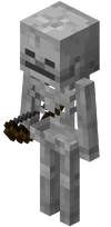 Skeleton | Minecraft Wiki | Fandom