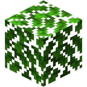 Leaves | Minecraft Wiki | Fandom