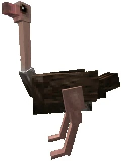 Image - Ostrich.jpg | Minecraft Wiki | FANDOM powered by Wikia