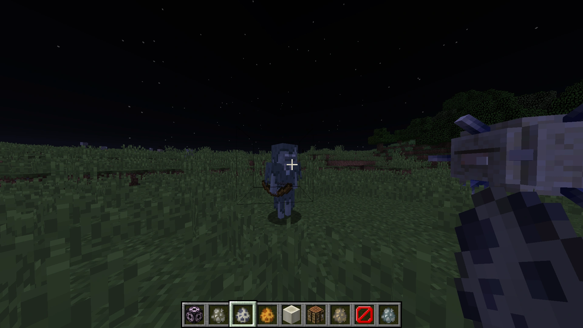 Stray | Minecraft Wiki | Fandom