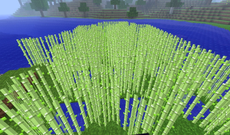 Sokeriruoko | Minecraft Wiki | FANDOM powered by Wikia