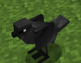 Crow | Minecraft Fanon Wiki | Fandom