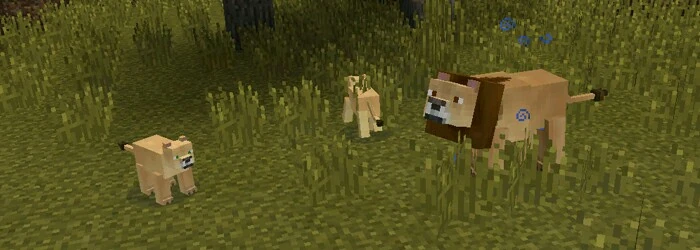 Lion | Minecraft Fanon Wiki | Fandom