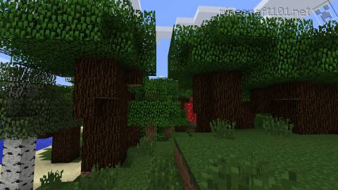 Dark Oak Wood Tree | Minecraft Network | Fandom