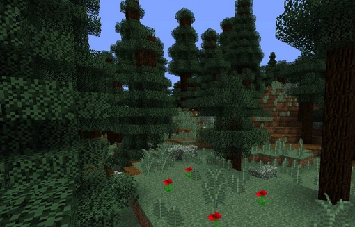 Mega Taiga de Abetos | Minecraftpedia | FANDOM powered by Wikia