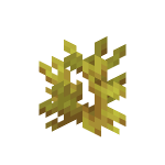 Coral | Minecraftpedia | Fandom