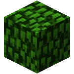 Hojas | Minecraftpedia | FANDOM powered by Wikia