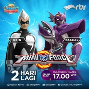 Pascal | Miniforce Wiki | Fandom