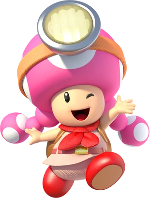 Archivist Toadette | Mint's Hints Wiki | Fandom