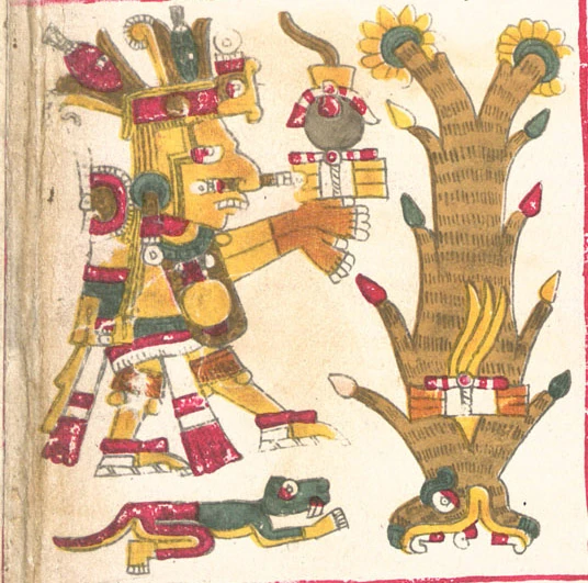 Cintéotl | Wiki Mitología | Fandom