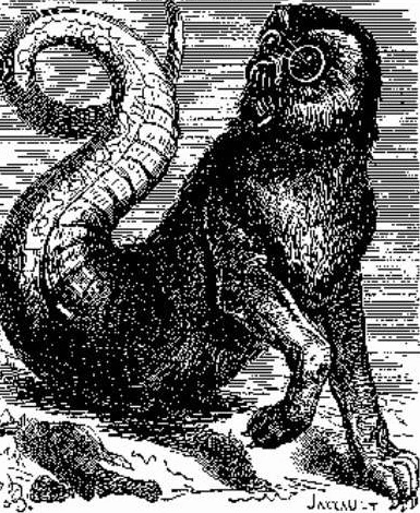 Amon | Wiki Mitología | FANDOM powered by Wikia