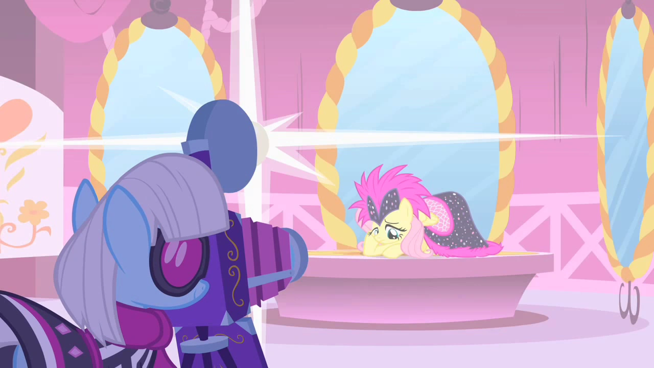Image - Photo Finish taking a photo of Fluttershy S01E20.png | My ...