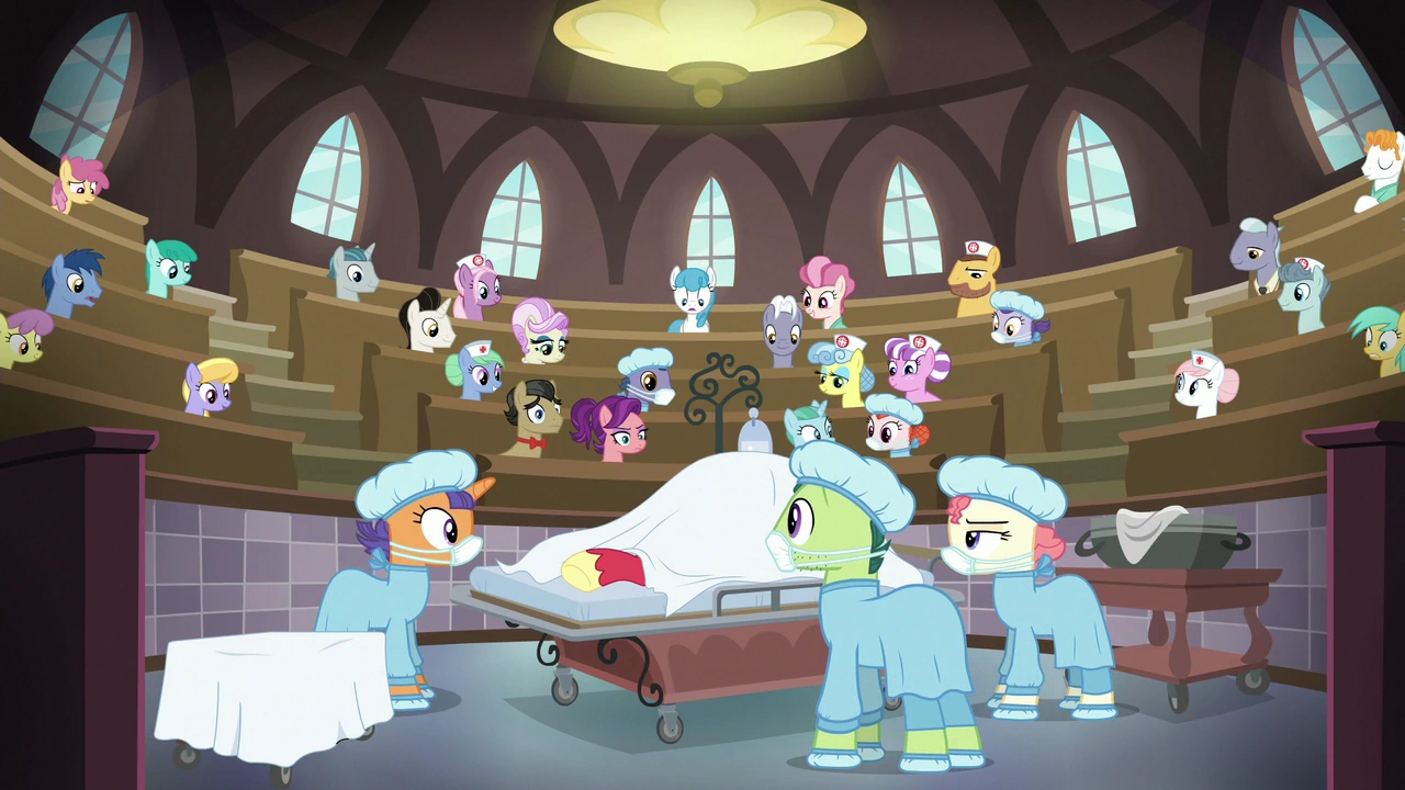 Nurse ponies | My Little Pony Friendship is Magic Wiki | Fandom