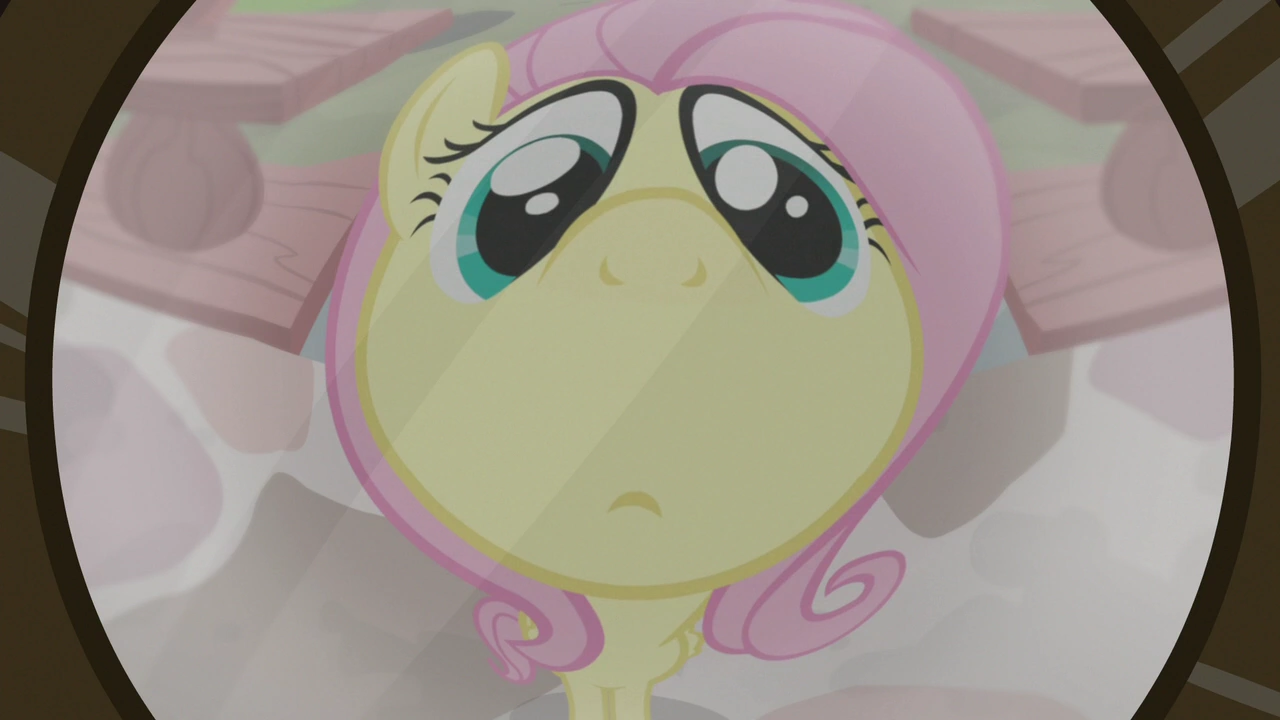 Image - Fluttershy seen through wide-angle lens S7E5.png | My Little ...
