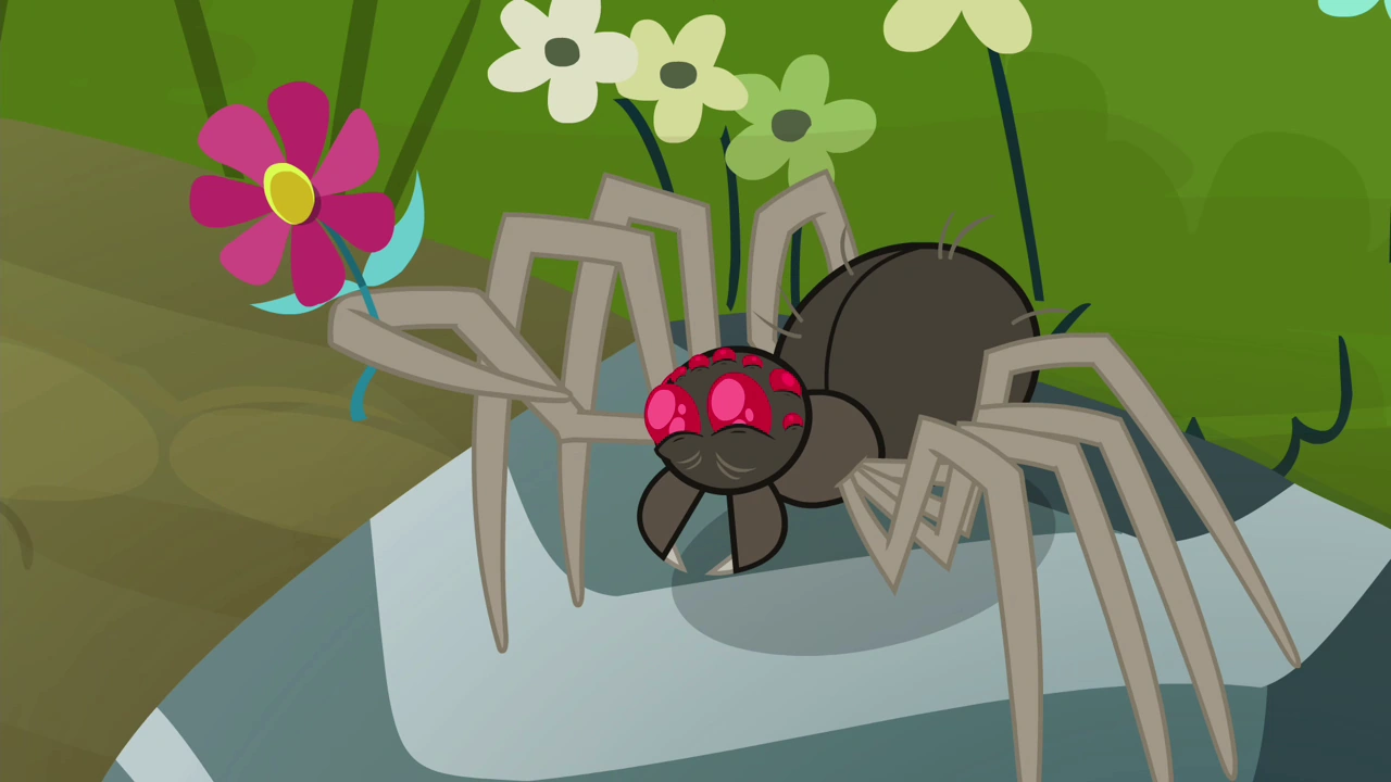 Image - Spider presenting a flower S4E18.png | My Little Pony ...