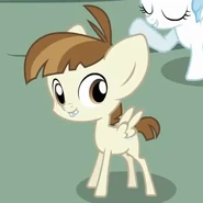 Featherweight | My Little Pony: La Magia de la Amistad Wiki | FANDOM ...