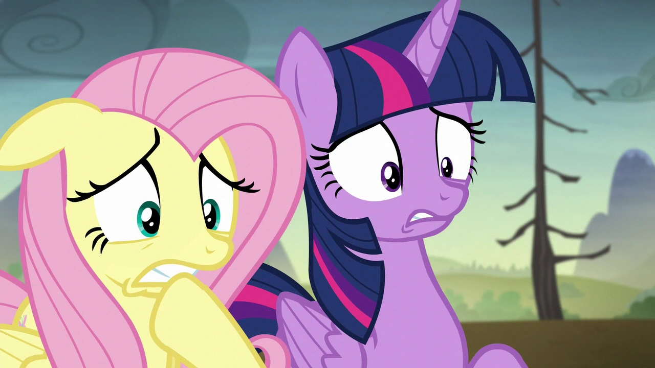 Image - Twilight and Fluttershy frightened S5E23.png | My Little Pony ...