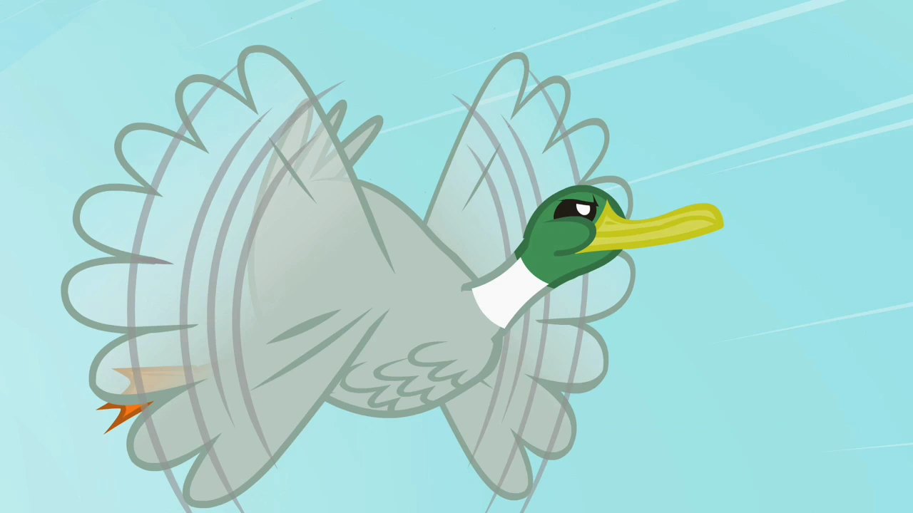 Image - Duck flying S2E07.png | My Little Pony Friendship is Magic Wiki ...