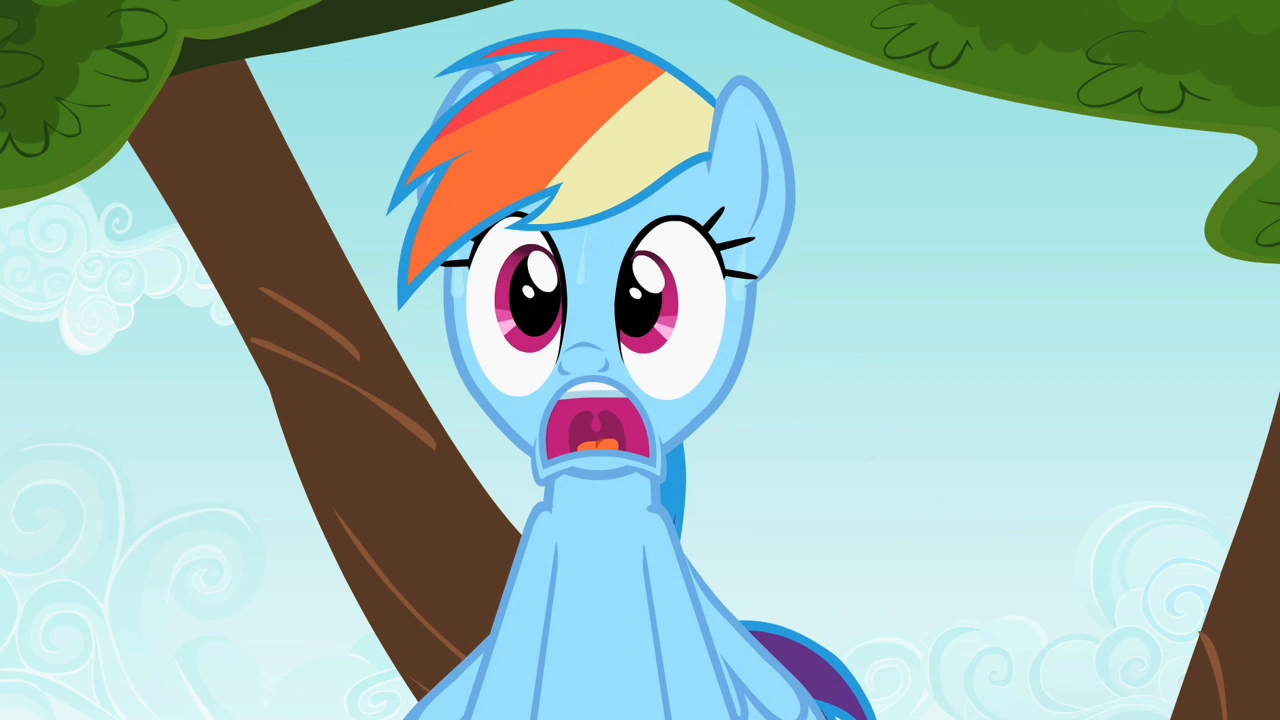 Image - Rainbow Dash Scream 4 S2E07.png | My Little Pony Friendship is ...