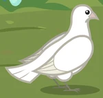 List of non-pony characters/Avians | My Little Pony Friendship is Magic ...