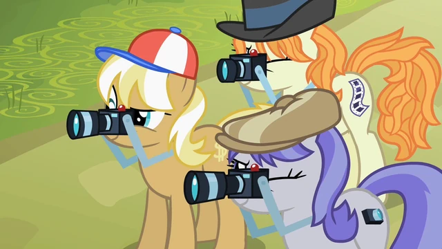 Image - Photographers taking photos S2E08.png | My Little Pony ...