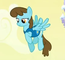 Sassaflash | My Little Pony Friendship is Magic Wiki | Fandom