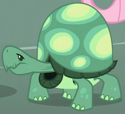 Imagen - Tank.jpg | My Little Pony: La Magia de la Amistad Wiki ...