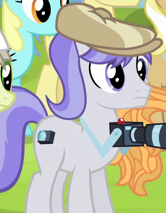 Image - Snappy Scoop stallion ID S4E20.png | My Little Pony Friendship ...
