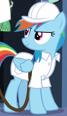 Image - Rainbow Dash weather factory ID S5E5.png | My Little Pony ...