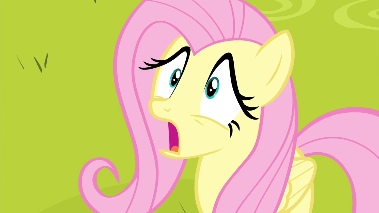 Image - Fluttershy in shock S4E14.png | My Little Pony Friendship is ...
