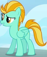 MLP Shipping Generator