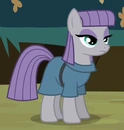 Likovi | Moj mali Poni: Prijateljstvo je čarolija Wikia | Fandom