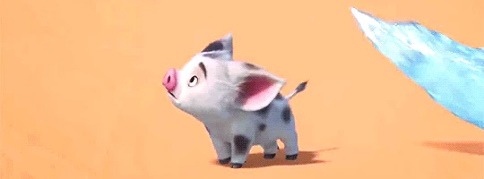 Image - Pua Gif 1.gif | Moana Wikia | FANDOM powered by Wikia