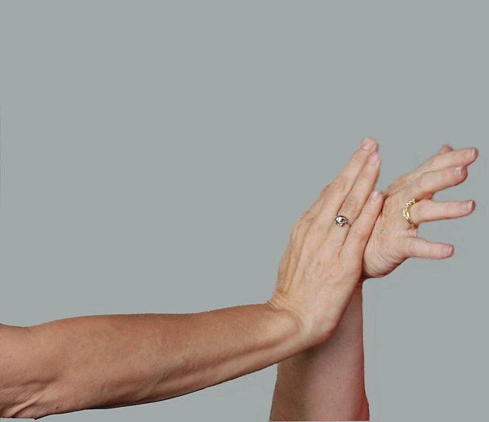 Pushing Hands (Training Technique) | Modern Wushu Wiki | Fandom