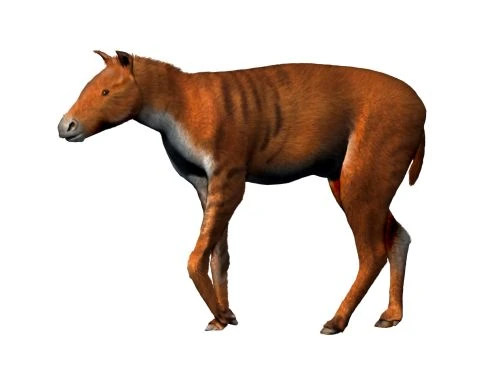 Mesohippus | Modinos Wiki | Fandom