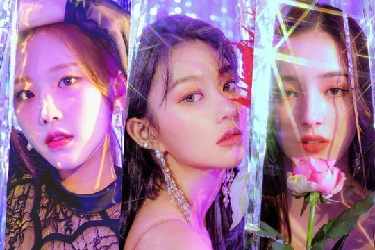 Momoland Wiki | Fandom