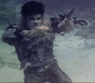 Underwater Zombie | Monster and Slashers Wiki | Fandom