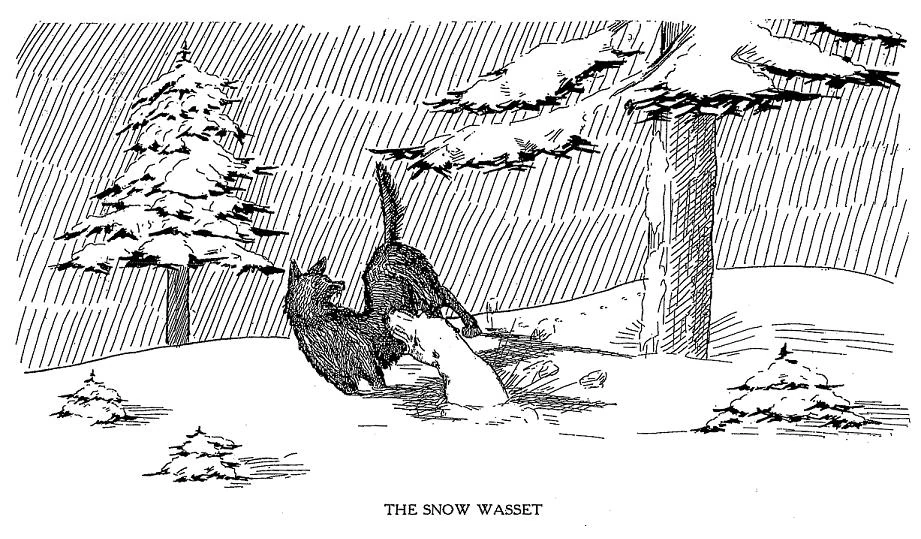 Snow Wasset | Monster Wiki | Fandom