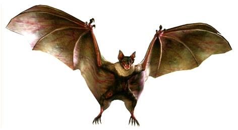 Giant Bat | Monster Wiki | FANDOM powered by Wikia