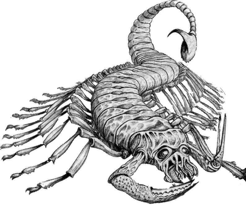 Catachan Devil | Monster Wiki | Fandom