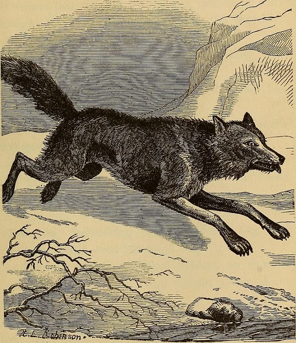 Warg | Monster Wiki | Fandom