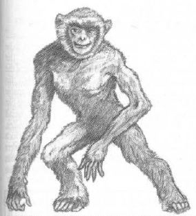 Mimic | Monster Wiki | Fandom