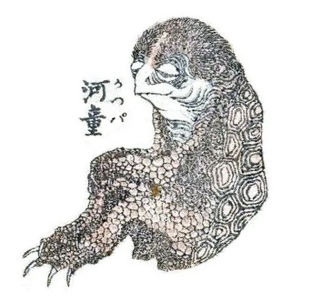 Kappa | Monster Wiki | Fandom