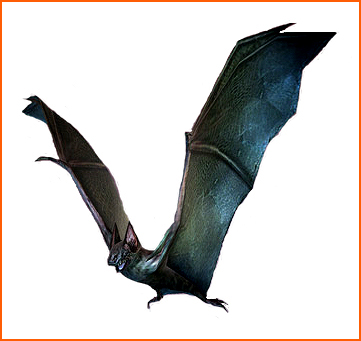 Infected Bat | Monster Wiki | Fandom