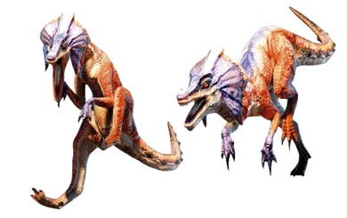 Jaggi | Monster Hunter Wiki | FANDOM powered by Wikia