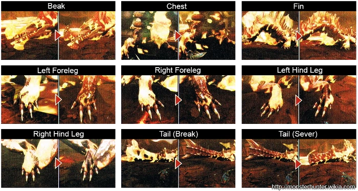 L agnaktor | Wiki Monsterhunter 3rd | Fandom