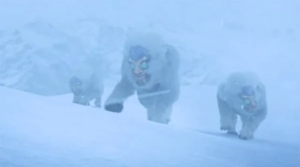 Blango | Wiki Monster Hunter | FANDOM powered by Wikia