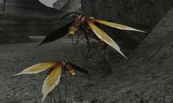 Vespoid | Wiki Monster Hunter | FANDOM powered by Wikia