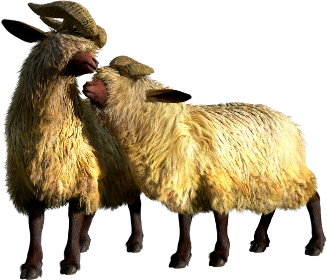 Moofah | Wiki Monster Hunter | Fandom