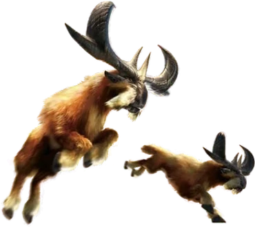 Anteka | Wiki Monster Hunter | Fandom